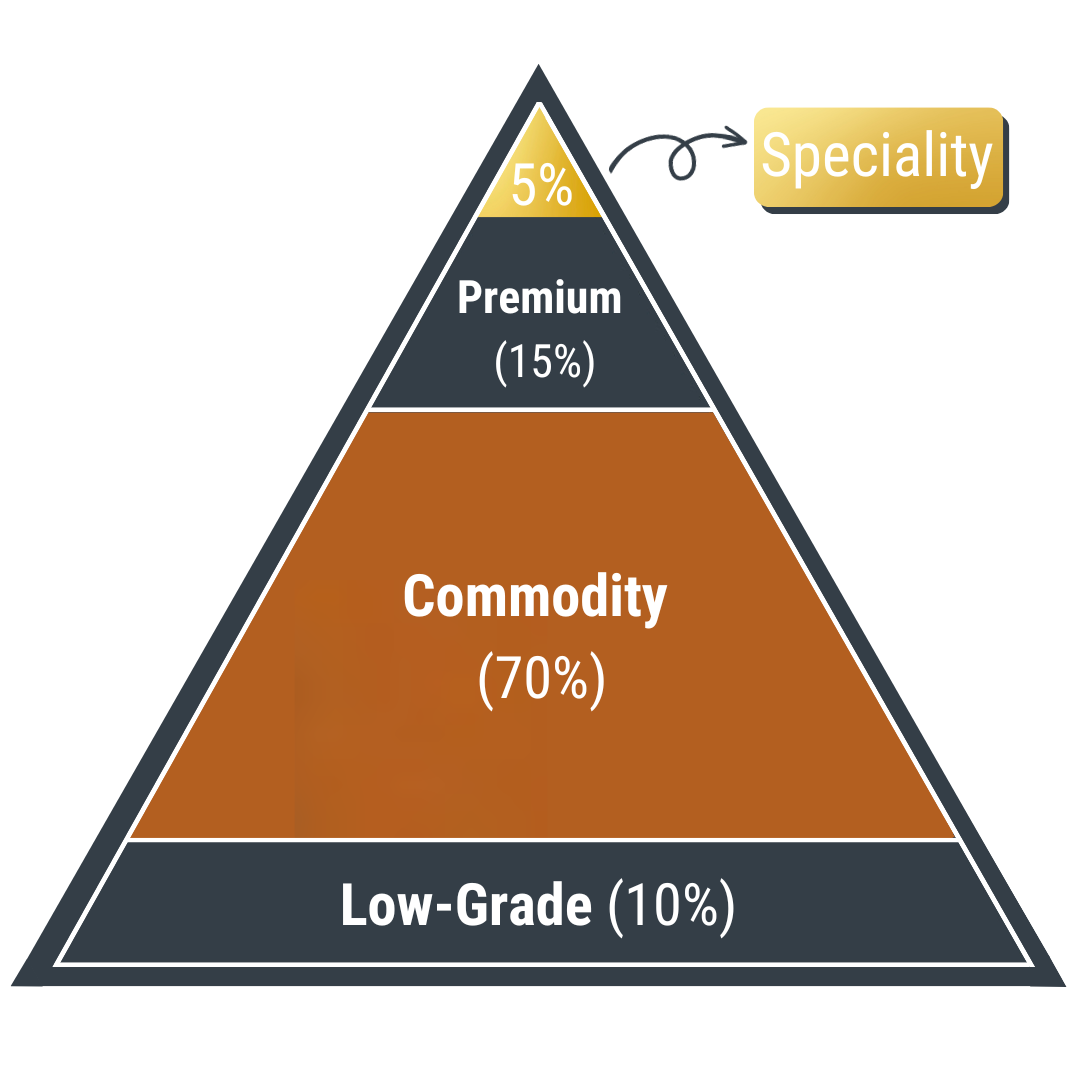 What is Speciality Coffee? – Maison Dieu Coffee